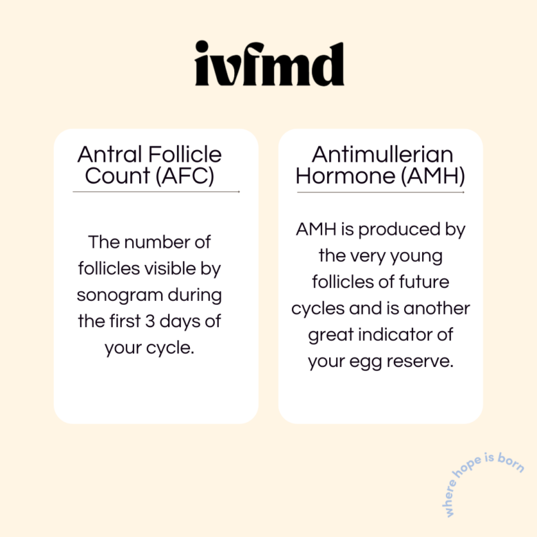 Low Egg Reserve: Understanding Its Impact on Fertility and Treatment ...